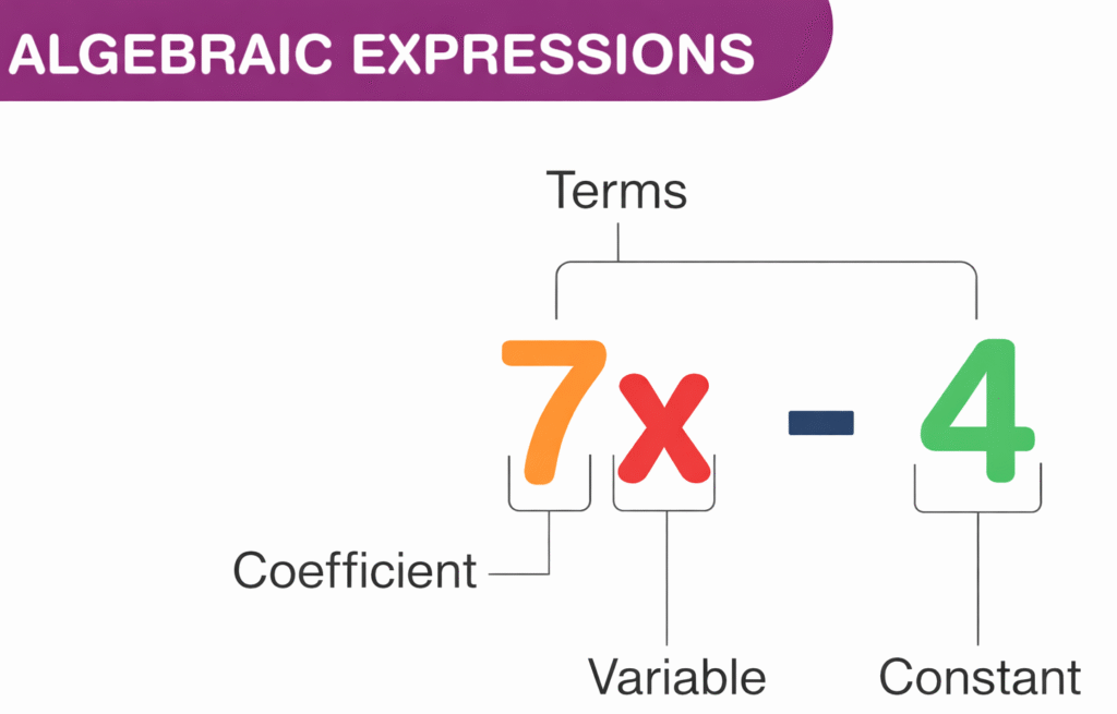 Algebraic Expressions