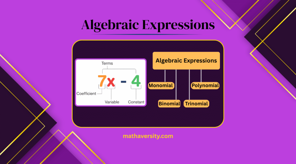 Algebraic Expressions